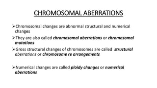 Structural aberrations of chromosomes | PPTX