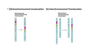 Structural aberrations of chromosomes | PPTX