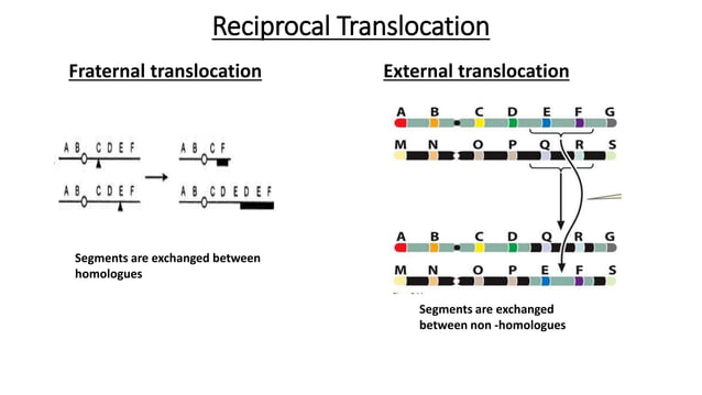 Structural aberrations of chromosomes | PPTX