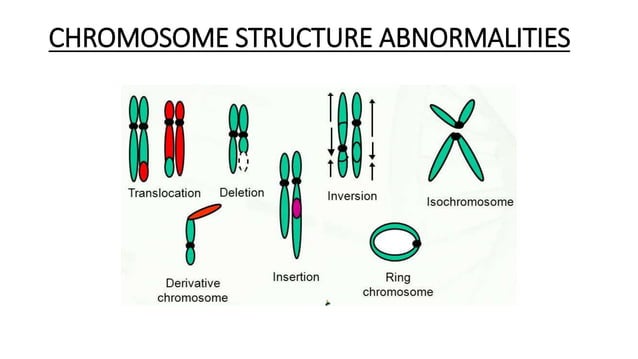 Structural aberrations of chromosomes