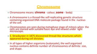 _structural aberrations of chromosomes GP 102.pptx