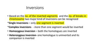 _structural aberrations of chromosomes GP 102.pptx
