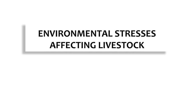 Animal Adaptations to Environmental Changes | PPTX