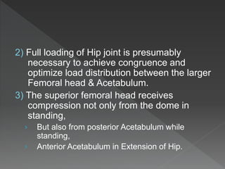 Structural adaptations to weight bearing of Hip | PPTX