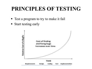 Structural and functional testing | PPTX