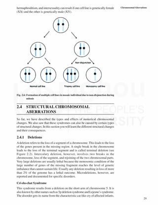 Structural and Numerical abnormalities.pdf