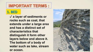 StructuralandRockMechanics-GeologyforCE.pptx