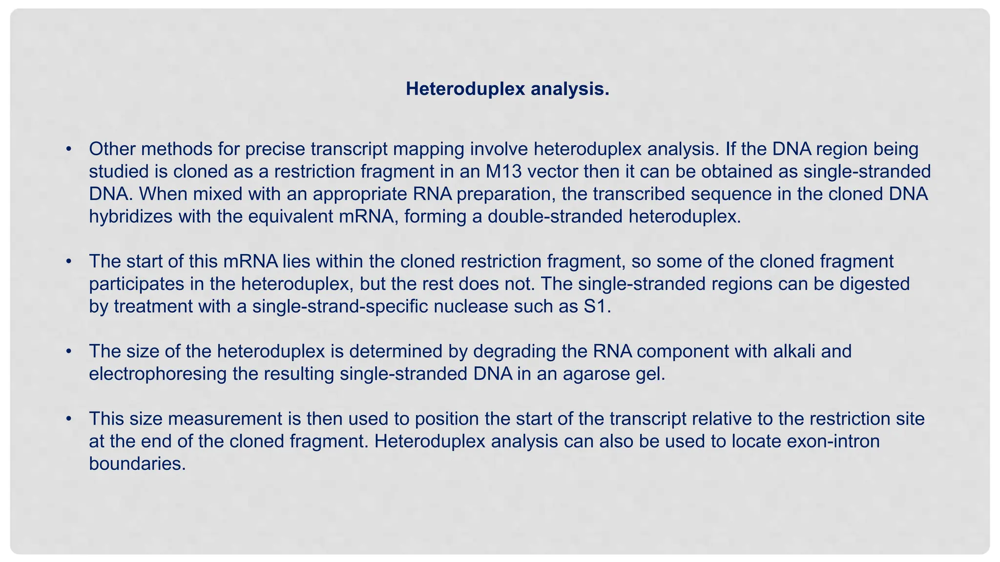 Structural annotation................pptx | Genetics | Science