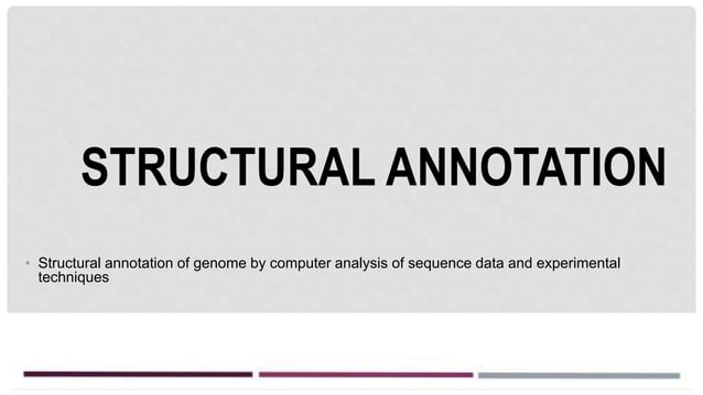 Structural annotation................pptx | Genetics | Science