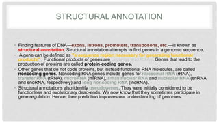 Structural annotation................pptx
