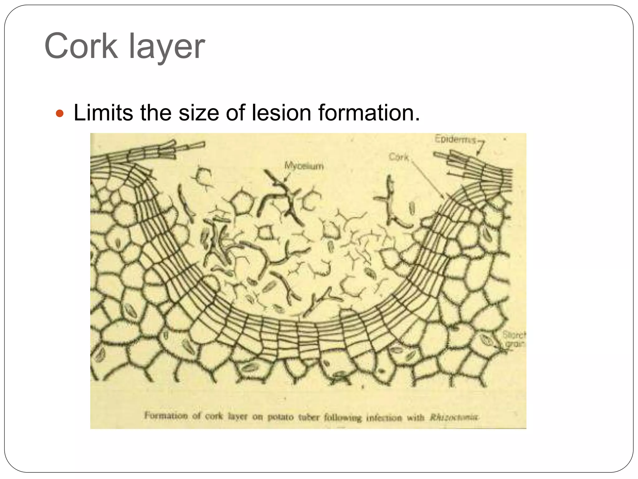 Structural defenses in plants | PPTX