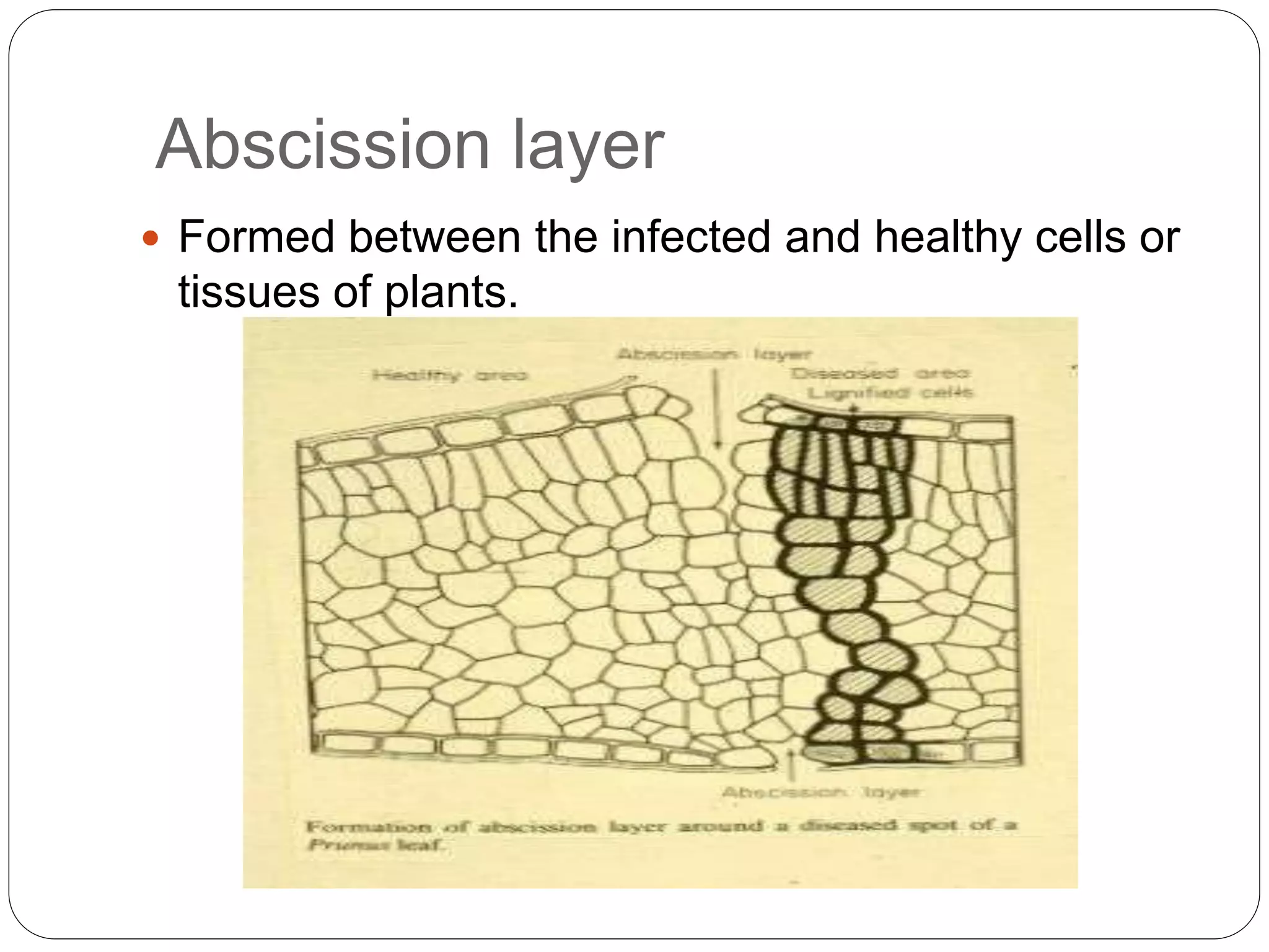 Structural defenses in plants | PPTX