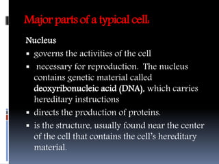 Structural Basis of Life | PPTX