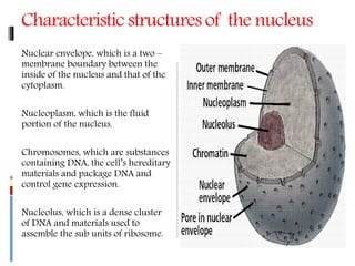 Structural Basis of Life | PPTX