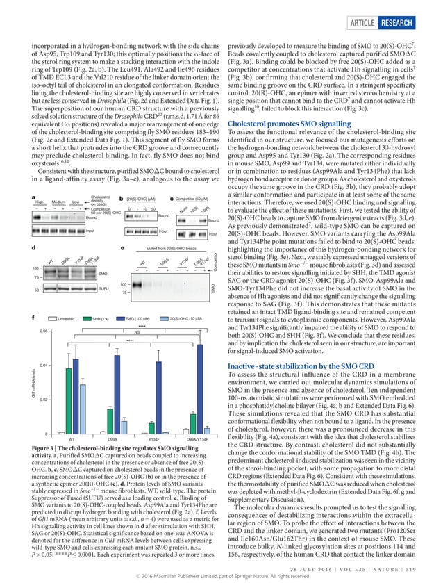 Structural basis of smoothened.compressed | PDF