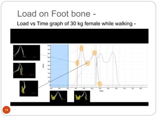 Structural behavior of bones in human body | PPT