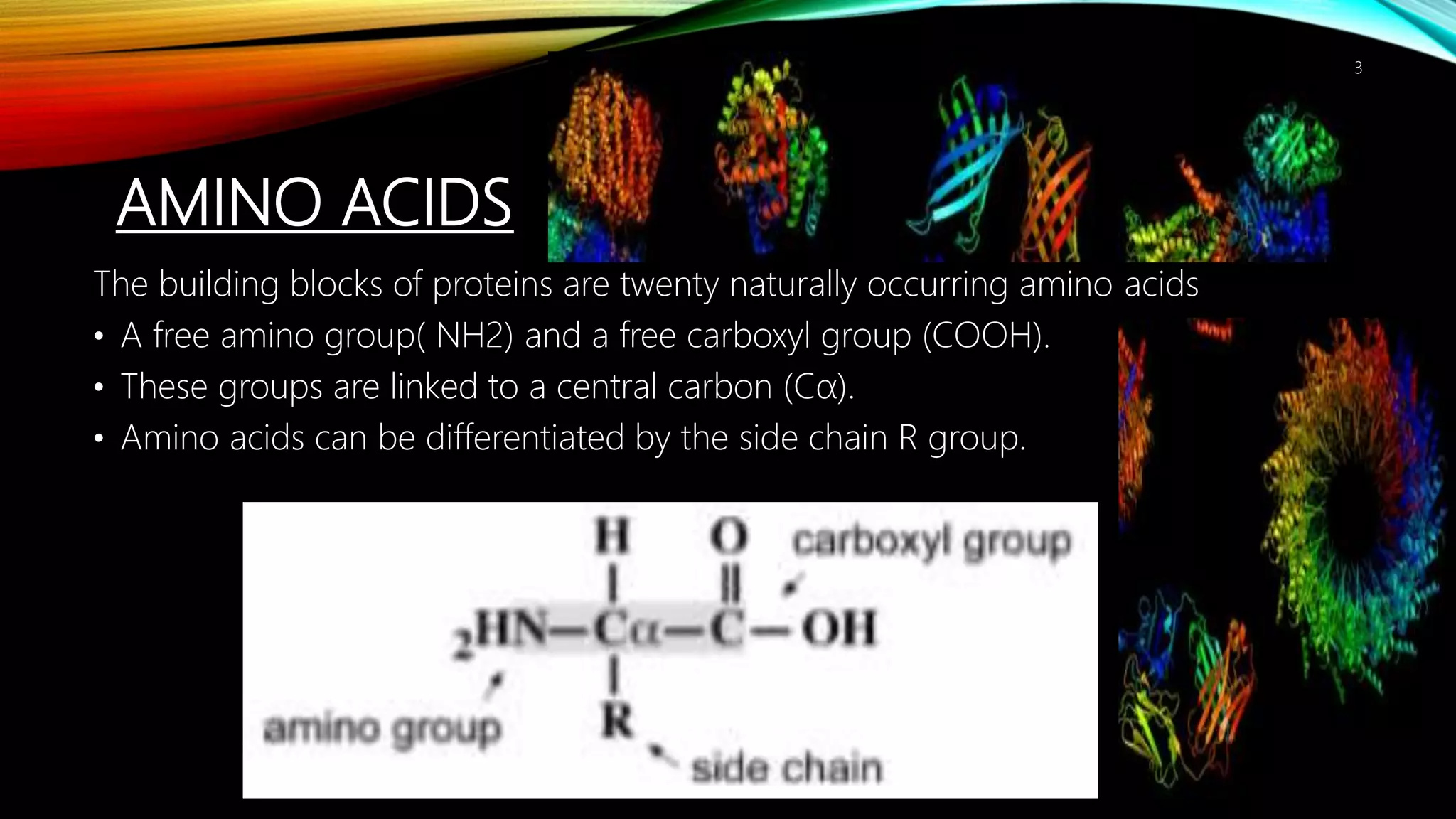 Structural bioinformatics. | PPT