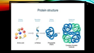 Structural bioinformatics. | PPTX