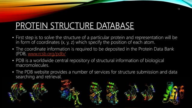 Structural Bioinformatics Ppt