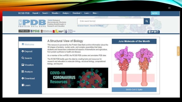 Structural bioinformatics. | PPTX | Chemistry | Science