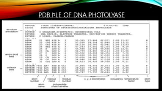 Structural bioinformatics. | PPTX