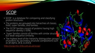 Structural bioinformatics. | PPTX