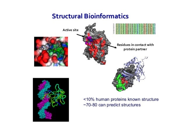 Structural bioinformatics and ELIXIR UK by Christine Orengo