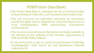 Structural bioinformatics and pdb | PPTX