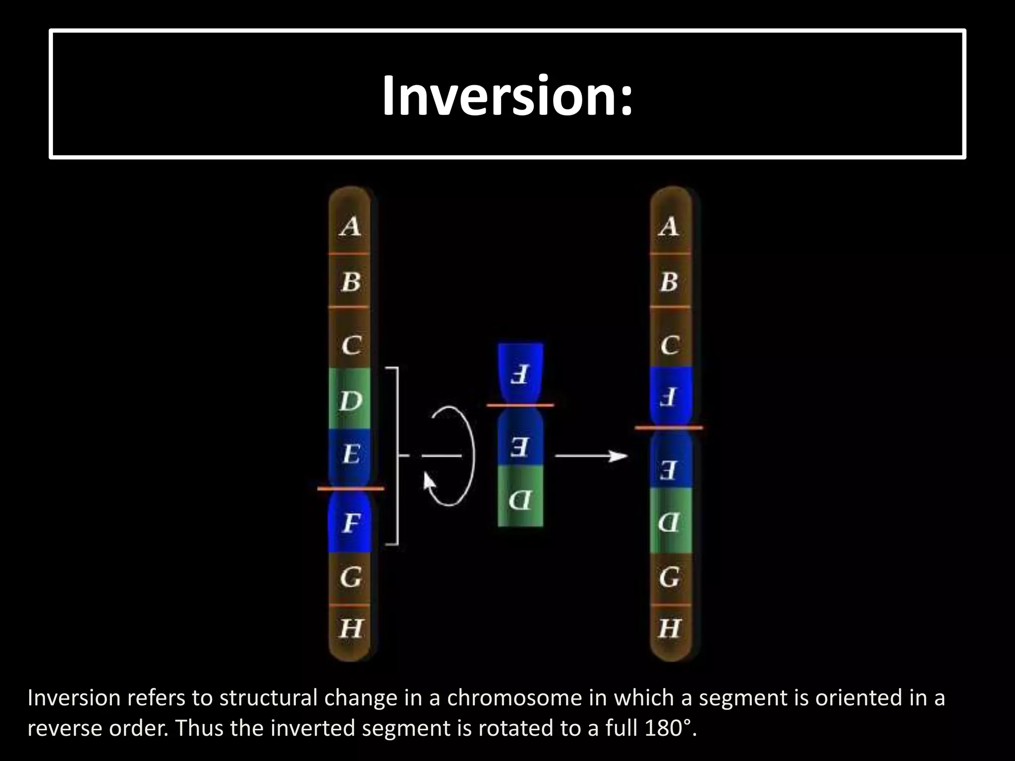 Structural changes in chromosomes | PPTX