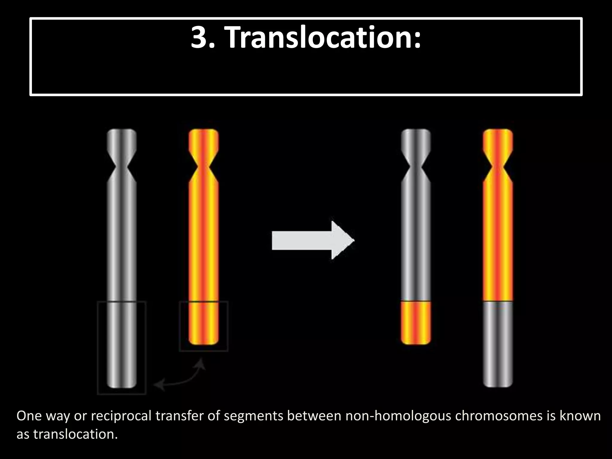 Structural changes in chromosomes | PPTX