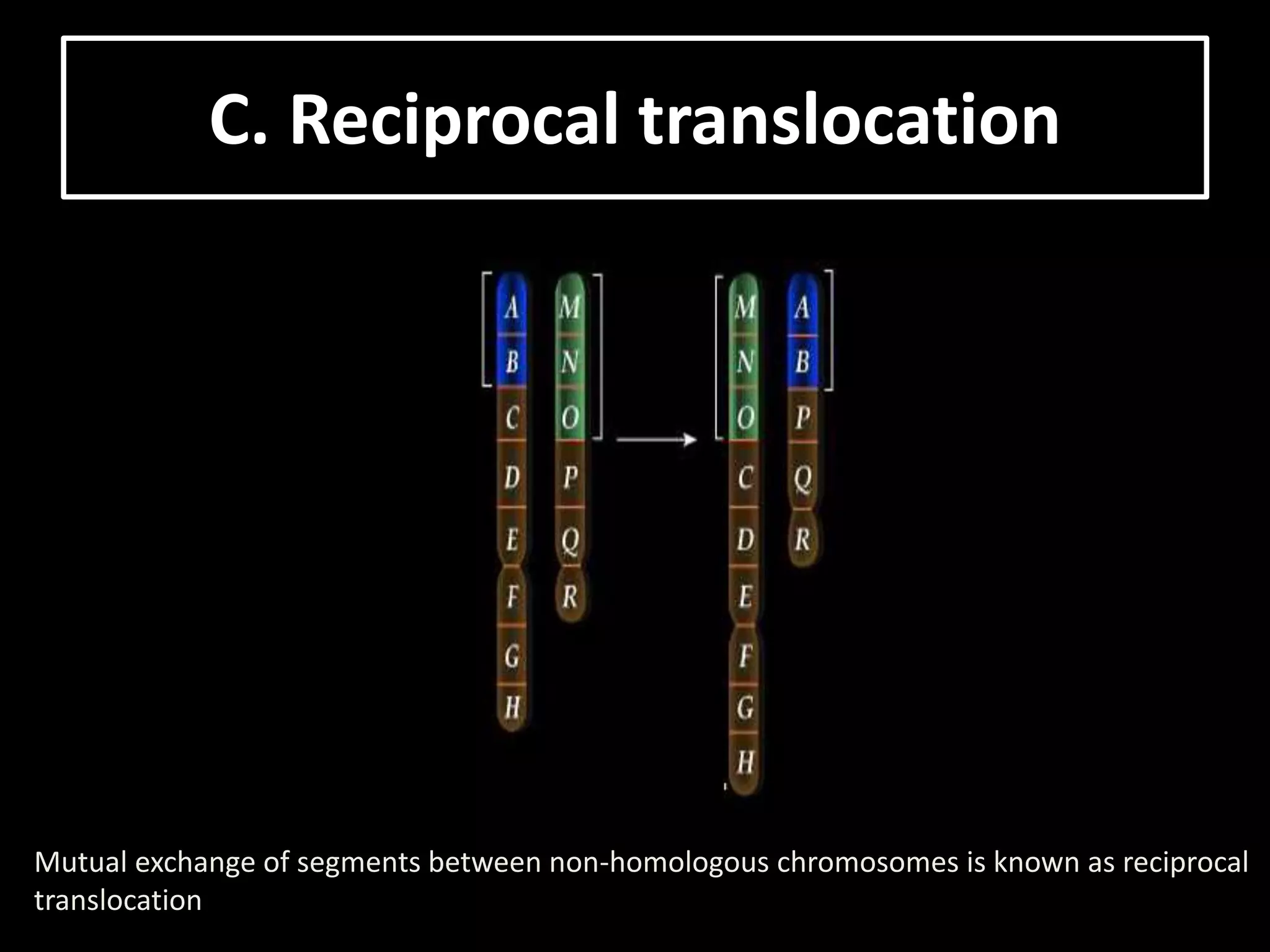 Structural changes in chromosomes | PPTX
