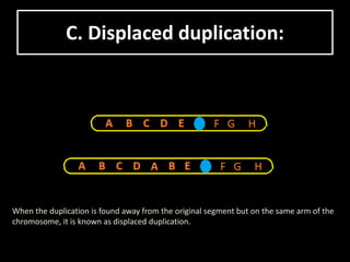 Structural changes in chromosomes | PPTX