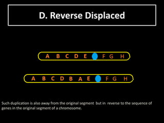 Structural changes in chromosomes | PPTX