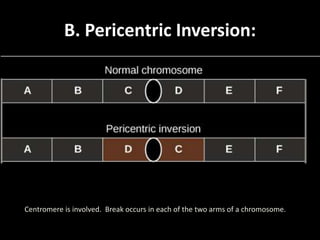 Structural changes in chromosomes | PPTX