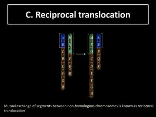 Structural changes in chromosomes | PPTX