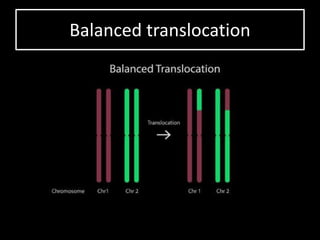 Structural changes in chromosomes | PPTX