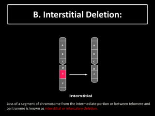 Structural changes in chromosomes | PPTX
