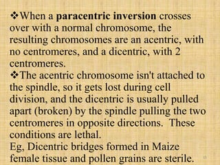 Structural changes in chromosomes | PPTX