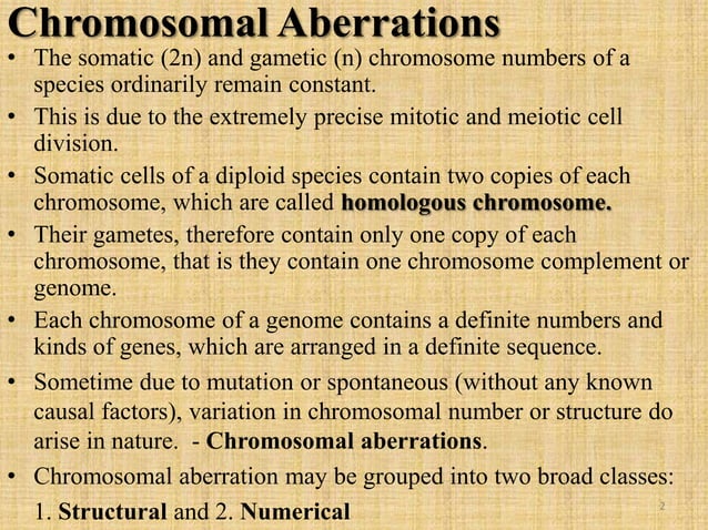 Structural changes in chromosomes | PPTX | Genetics | Science