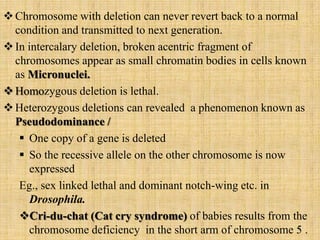 Structural changes in chromosomes | PPTX