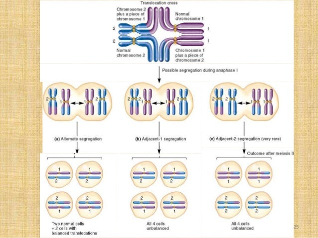 Structural changes in chromosomes