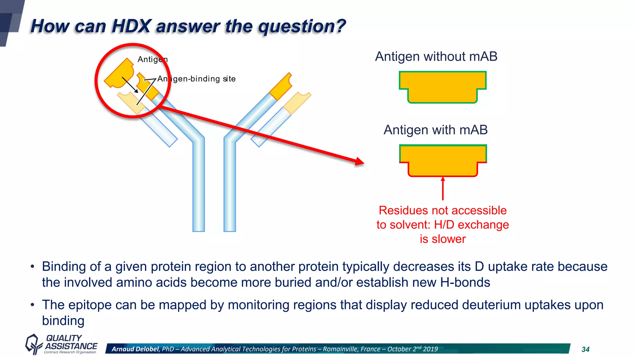Structural characterisation and epitope mapping by HDX-MS (Advanced ...