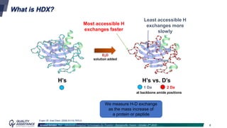 Structural characterisation and epitope mapping by HDX-MS (Advanced ...