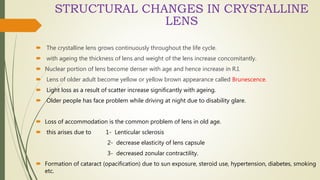 Structural cnanges in the eyes by rb | PPTX