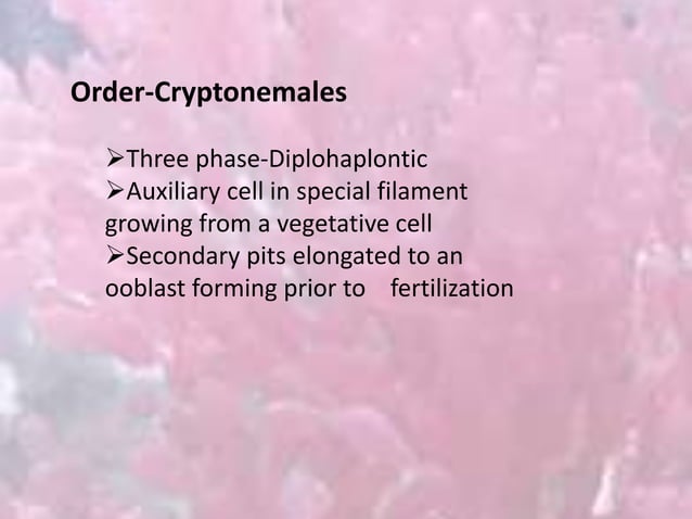 Structural complexity and reproduction of rhodophytes 423 | PPT
