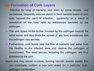 Structural defence machenism | PPTX