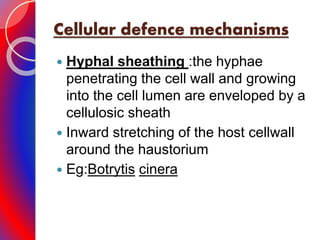 Structural defence mechanism in plants | PPTX