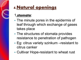 Structural defence mechanism in plants | PPTX