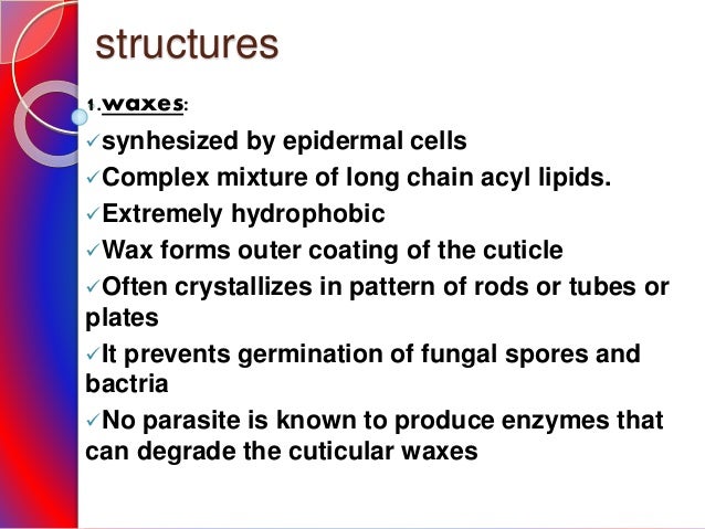 Waxes Structure Functions Biochemistry Examples