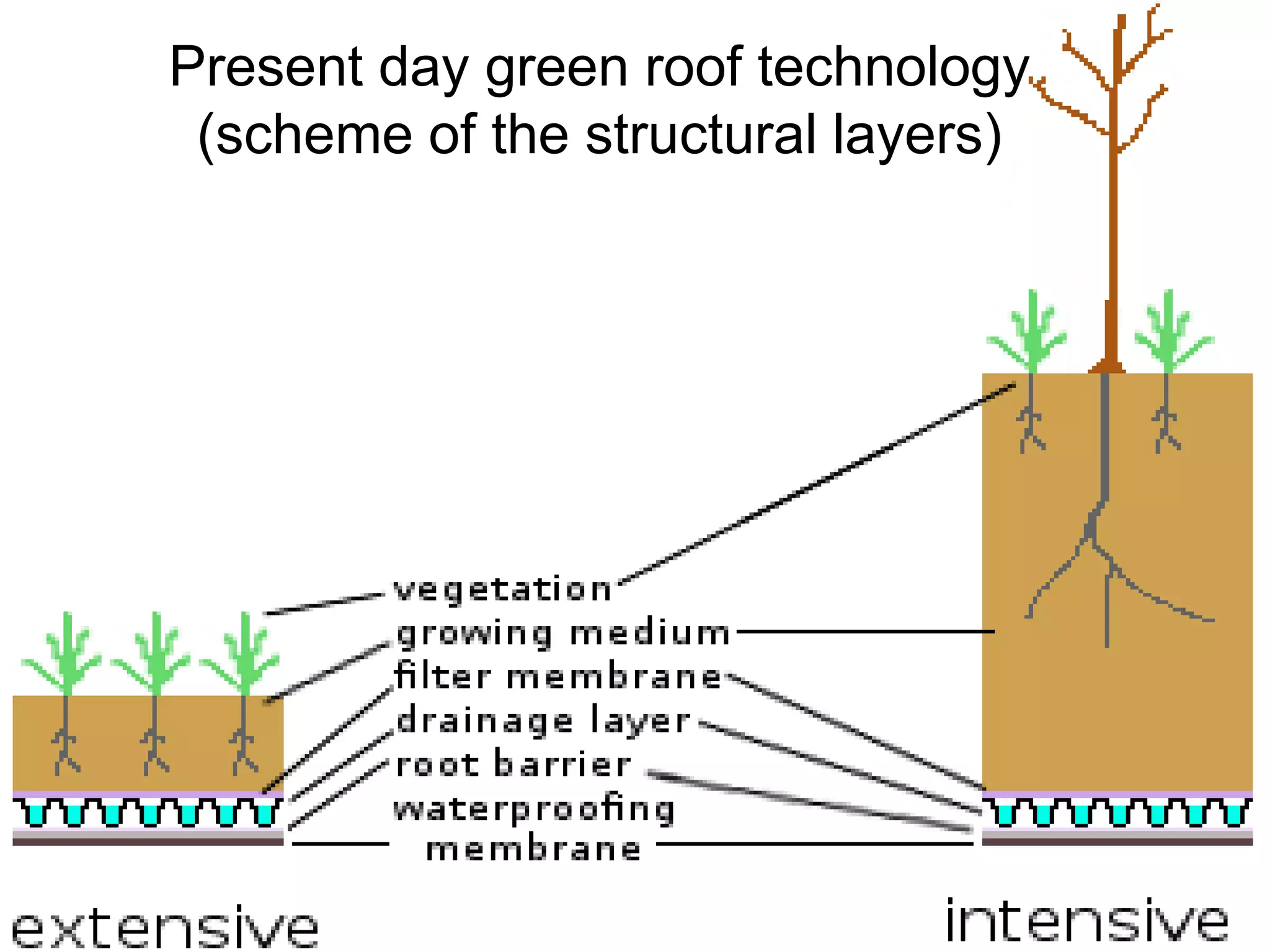 Planning Green roofs and Green Walls Structural design | PPTX